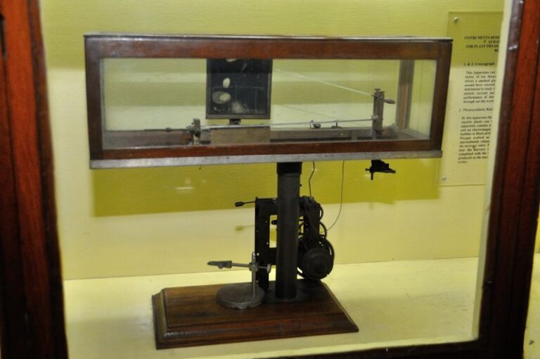 Jagadish Chandra Bose Wiki, Age, Death, Wife, Children, Family ...